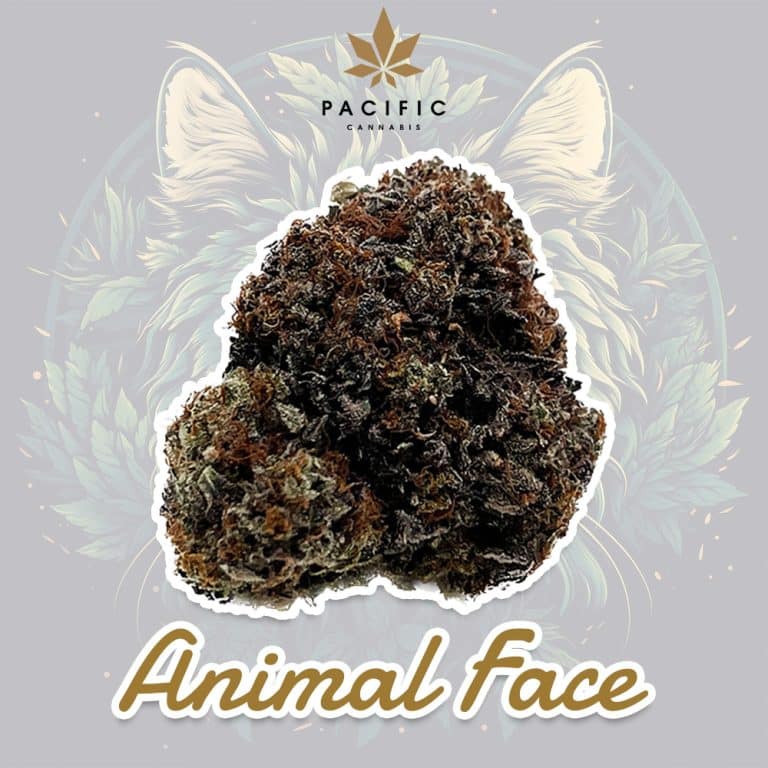 The Best Weed At Affordable Prices | Pacific Cannabis | #1 Online ...
